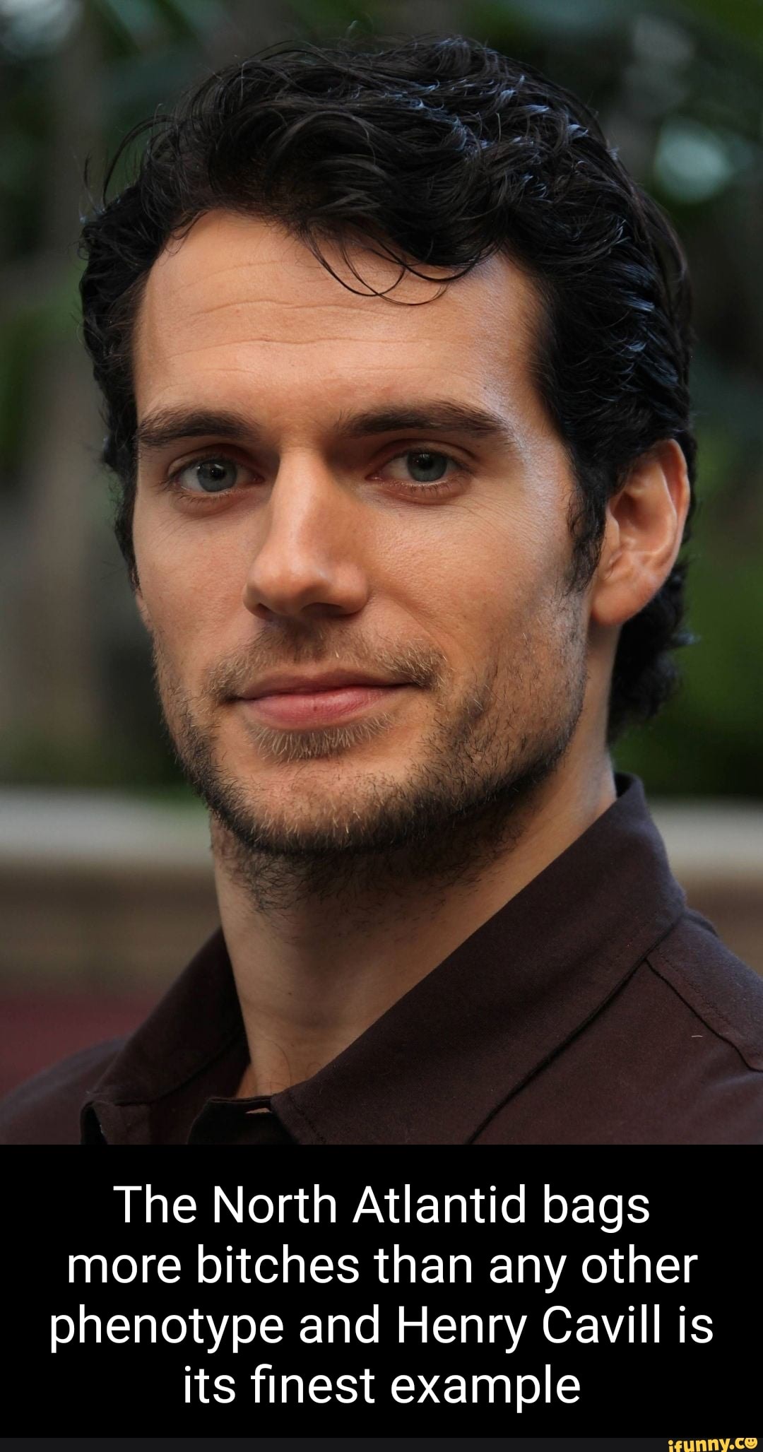 The North Atlantid bags more bitches than any other phenotype and Henry ...