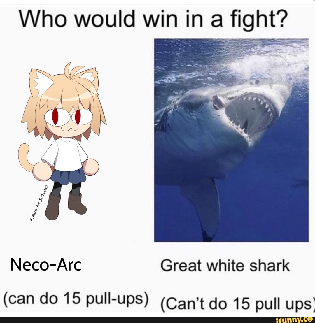 Who would win in a fight? Neco-Arc Great white shark (can do 15 pull ...