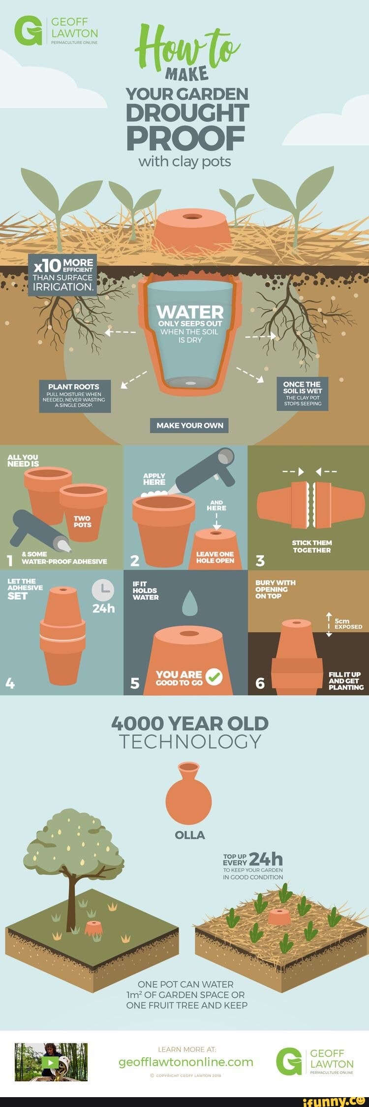 Plantroots memes. Best Collection of funny Plantroots pictures on iFunny