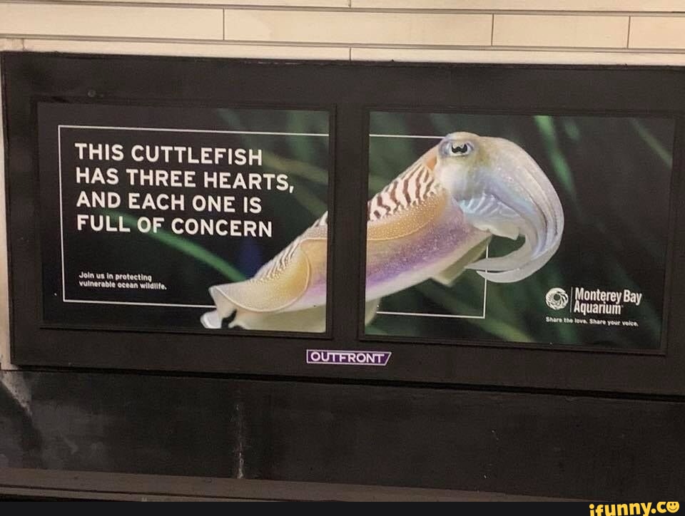 Concern memes. Best Collection of funny Concern pictures on iFunny