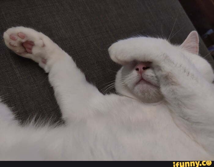 Ceiling_cat memes. Best Collection of funny Ceiling_cat pictures on iFunny