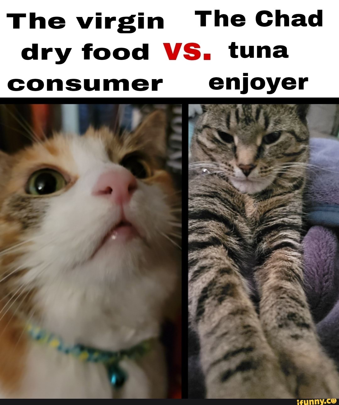The virgin The Chad dry food VS. tuna consumer enjoyer - iFunny