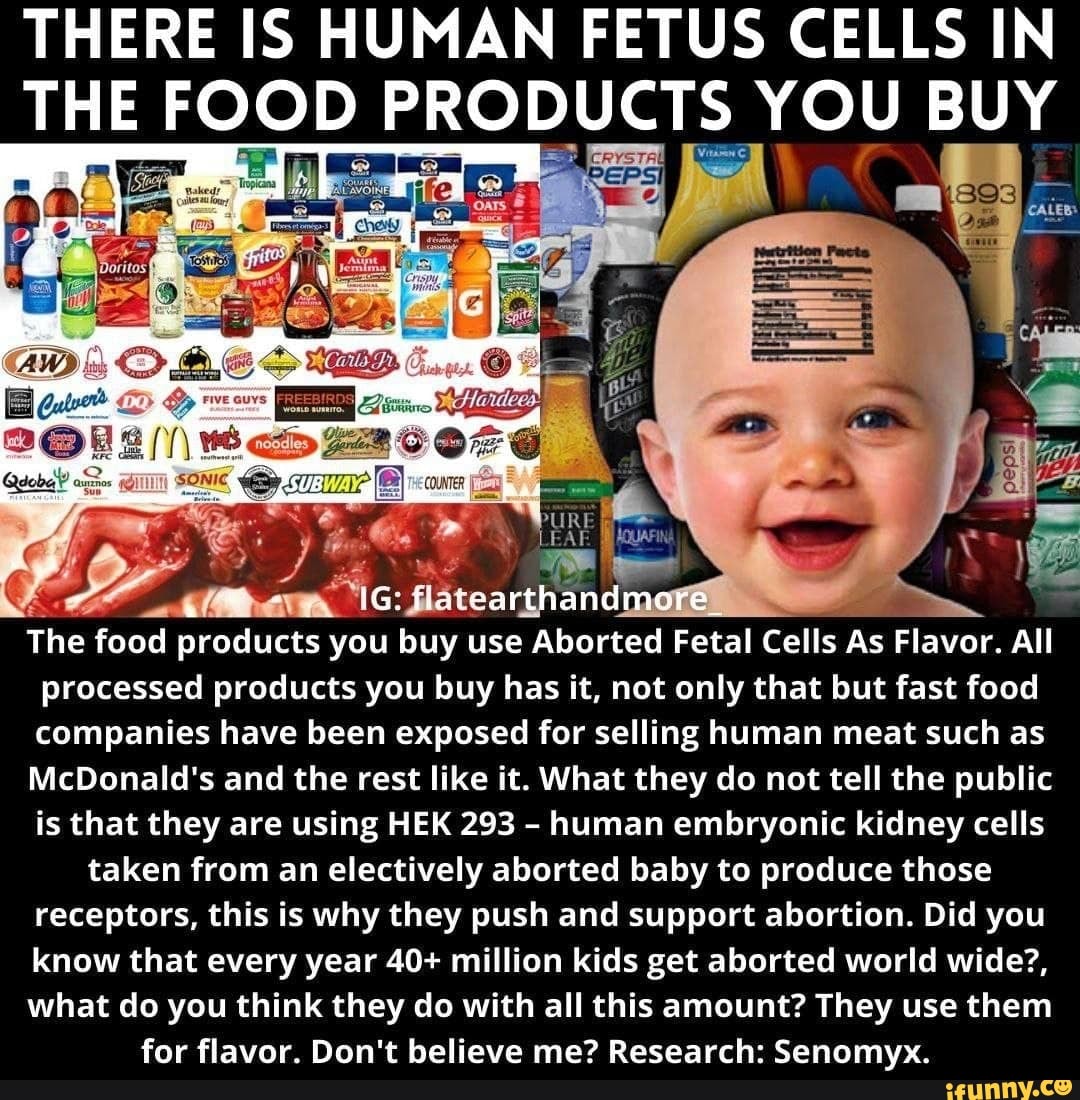 THERE IS HUMAN FETUS CELLS IN THE FOOD PRODUCTS YOU BUY of The food ...