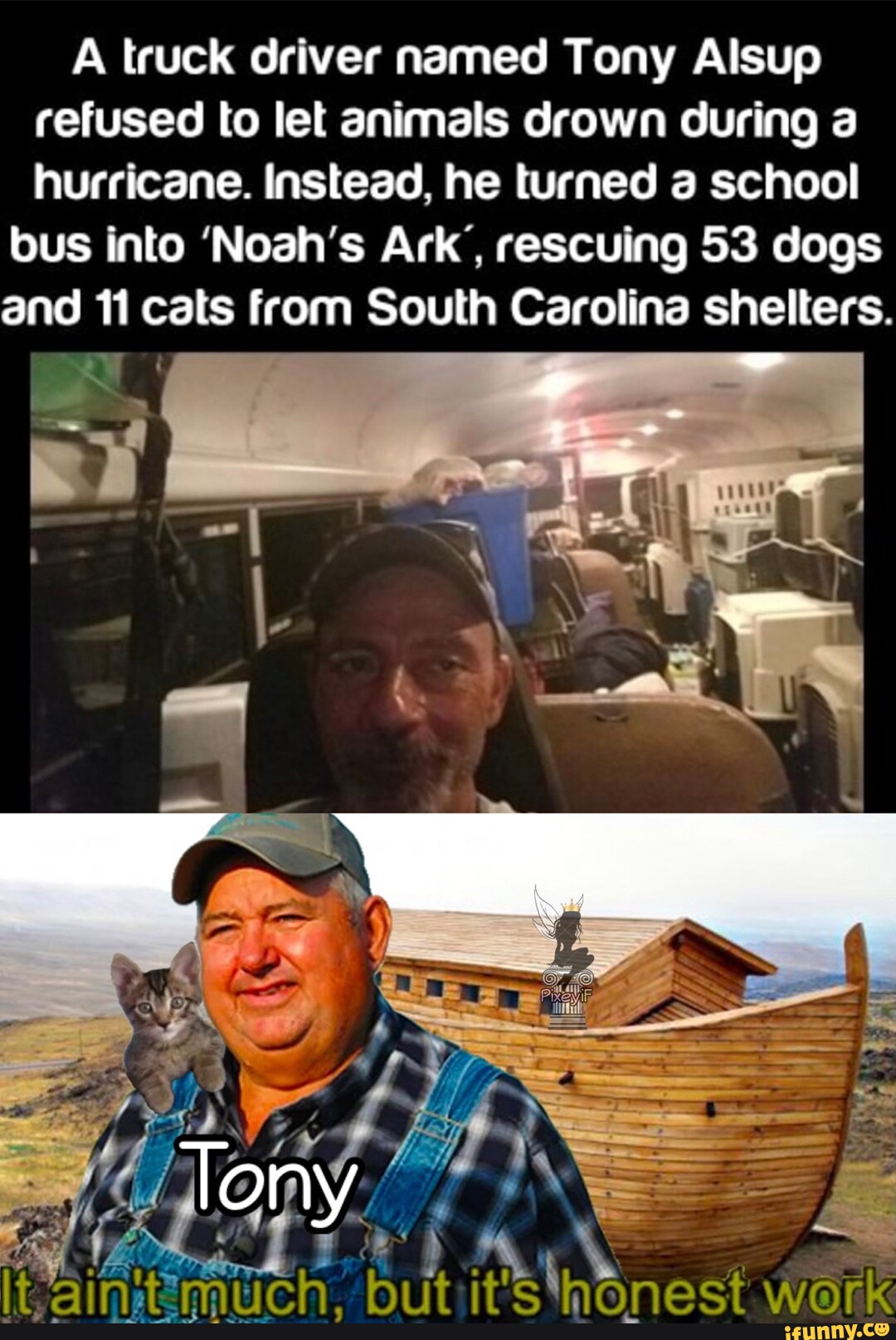 Noahsark memes. Best Collection of funny Noahsark pictures on iFunny