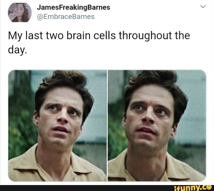 My last two brain cells throughout the day. - iFunny