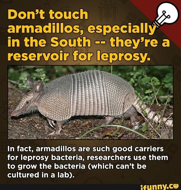 Leprosy memes. Best Collection of funny Leprosy pictures on iFunny