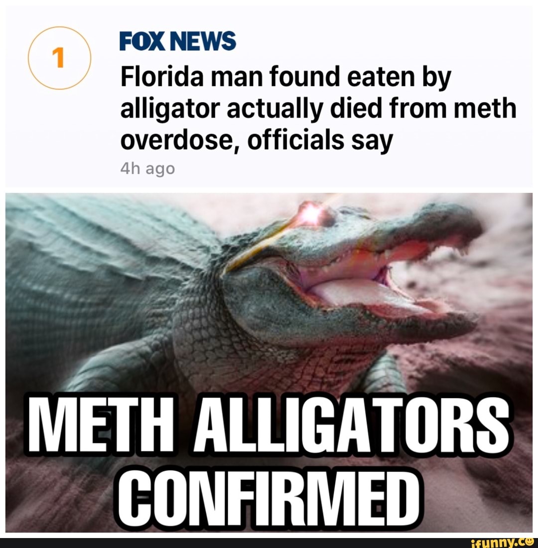 FOX NEWS Florida man found eaten by alligator actually died from meth ...