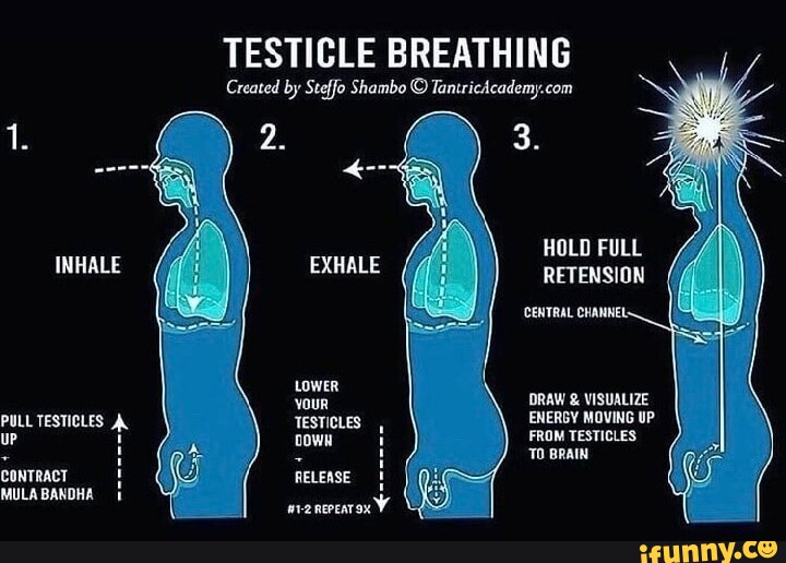Shambo memes. Best Collection of funny Shambo pictures on iFunny