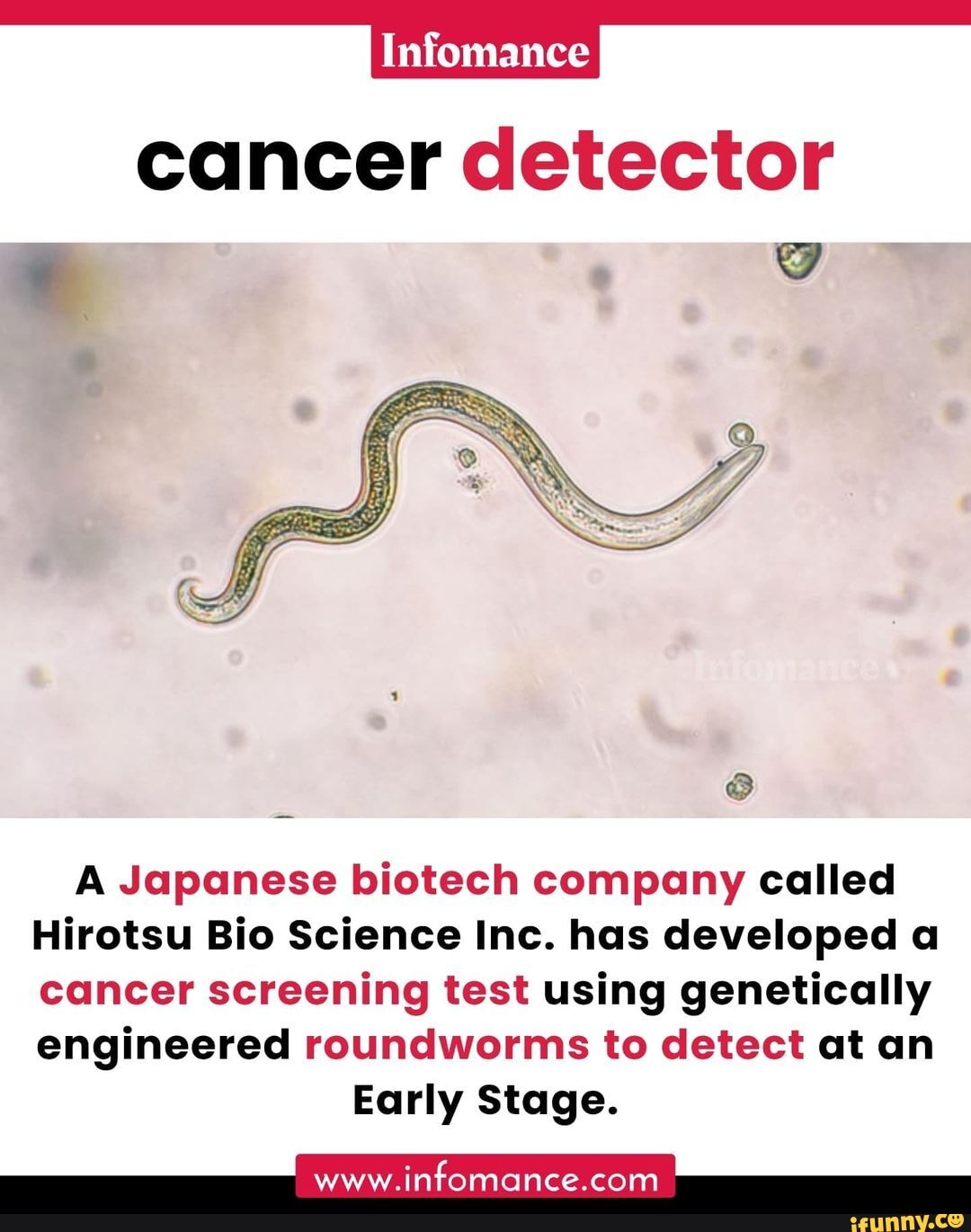 Roundworms memes. Best Collection of funny Roundworms pictures on iFunny