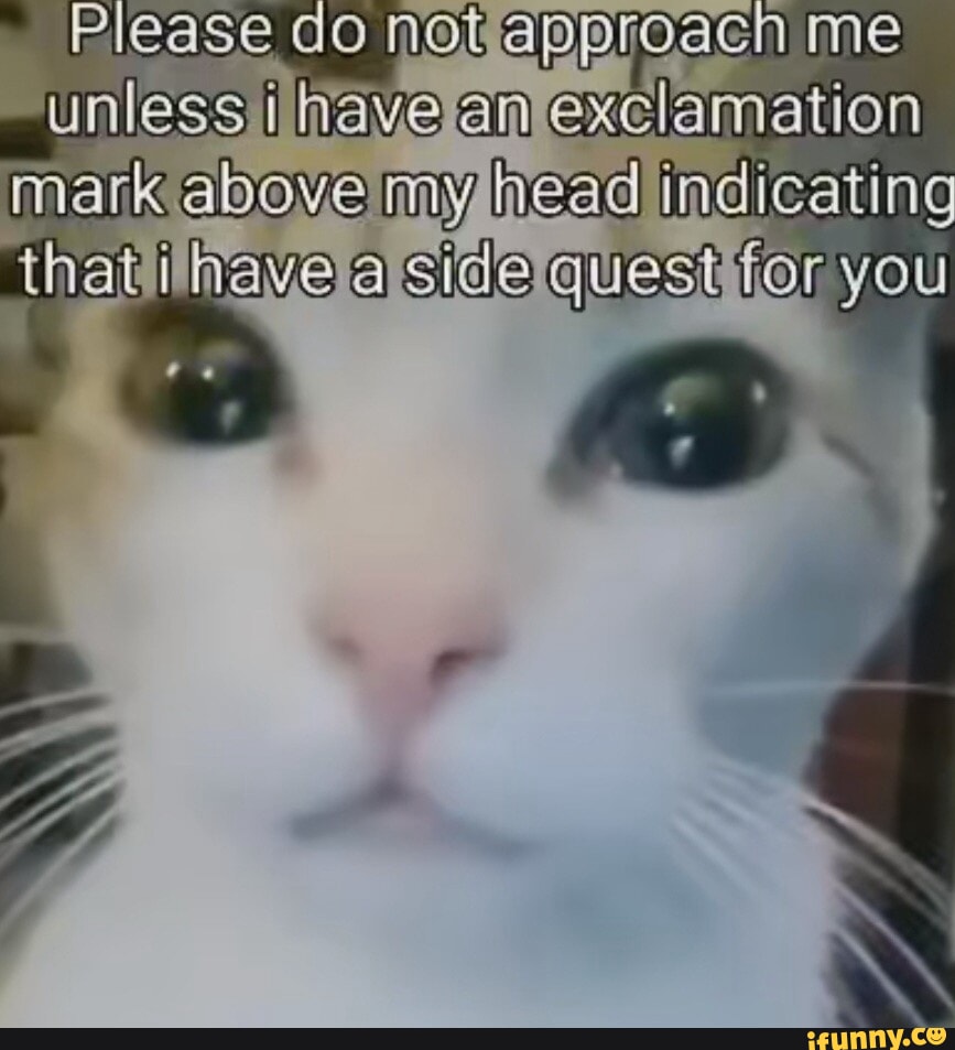 Exclamation Memes