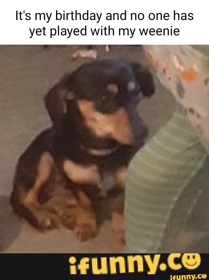 It's my birthday and no one has yet played with my weenie - iFunny