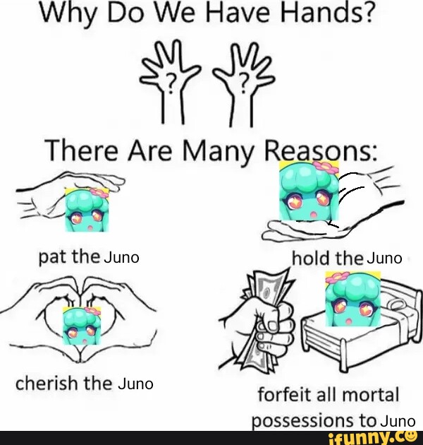 Why Do We Have Hands? There Are Many Reasons: pat the Juno hold the ...