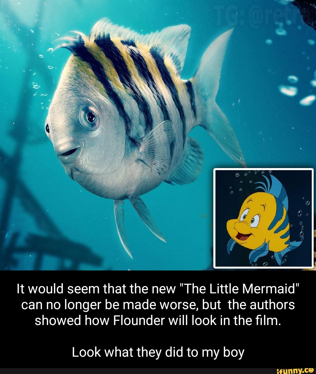 It would seem that the new "The Little Mermaid" can no longer be made ...