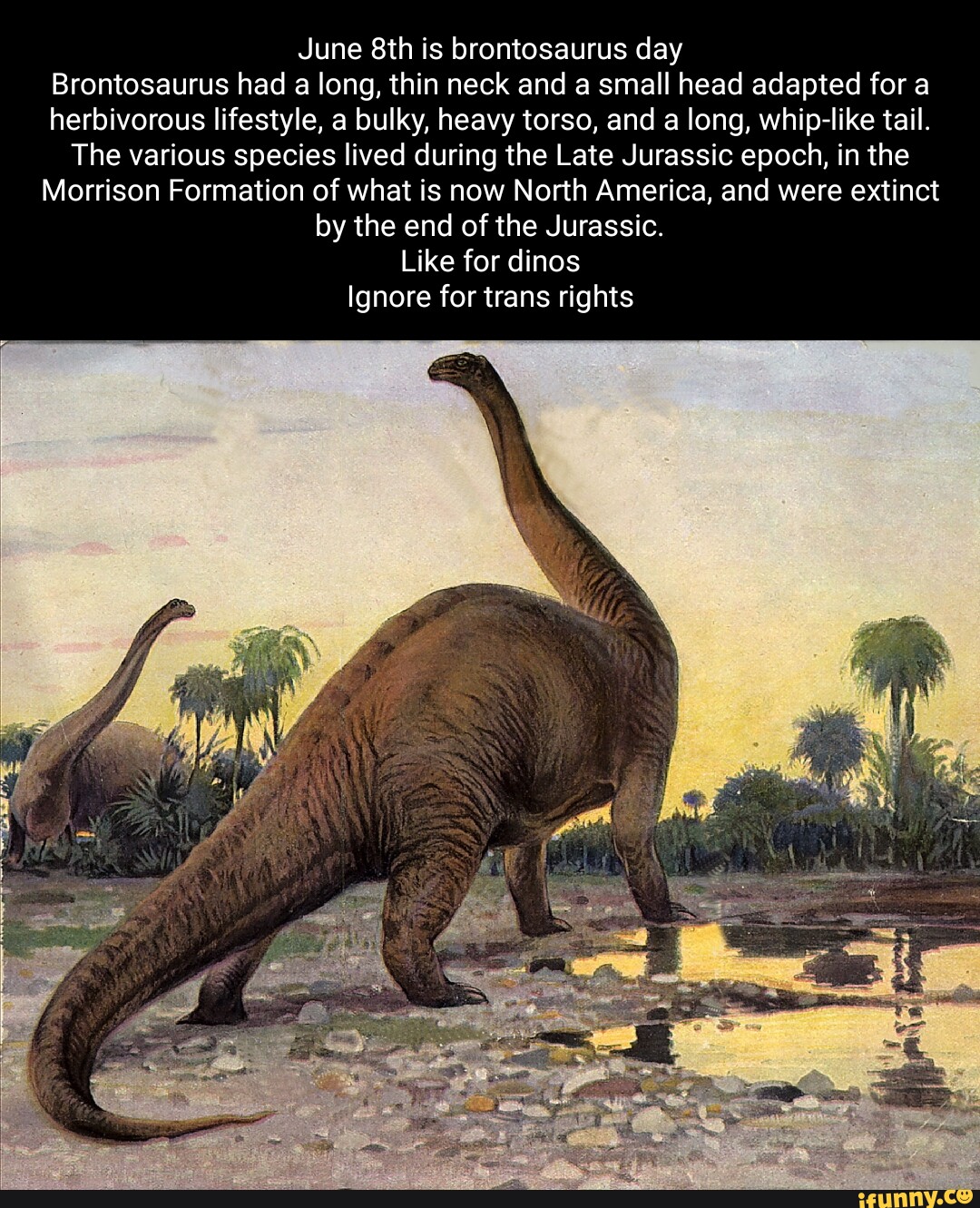 June is brontosaurus day Brontosaurus had a long, thin neck and a small ...