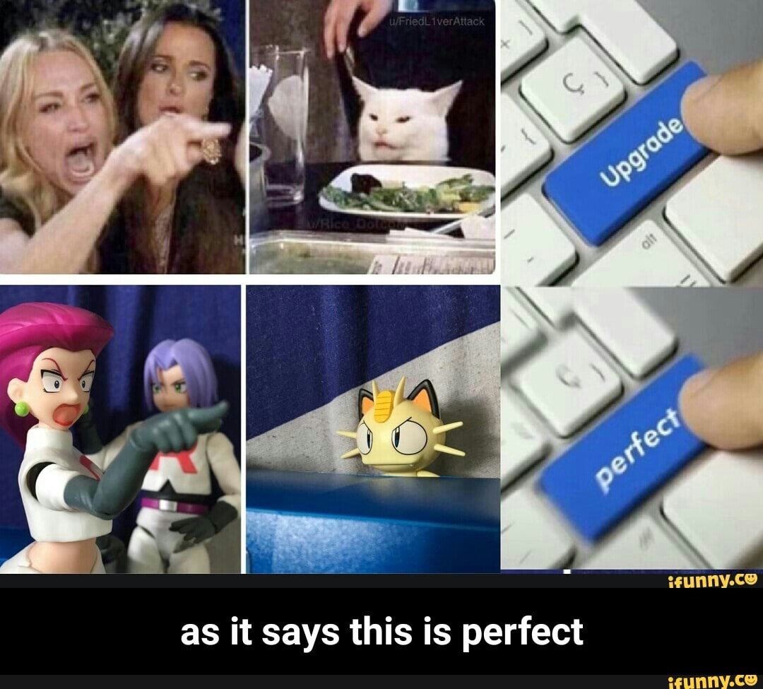 As it says this is perfect - as it says this is perfect - iFunny