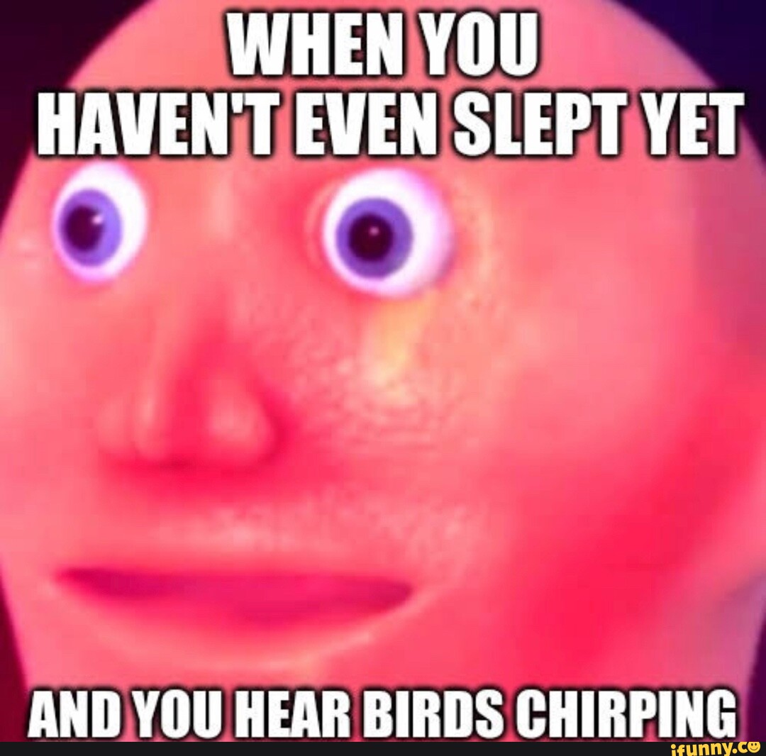 WHEN YOU HAWEN'T EVEN SLEPT YET AND YOU HEAR BIRDS CHIRPING - iFunny