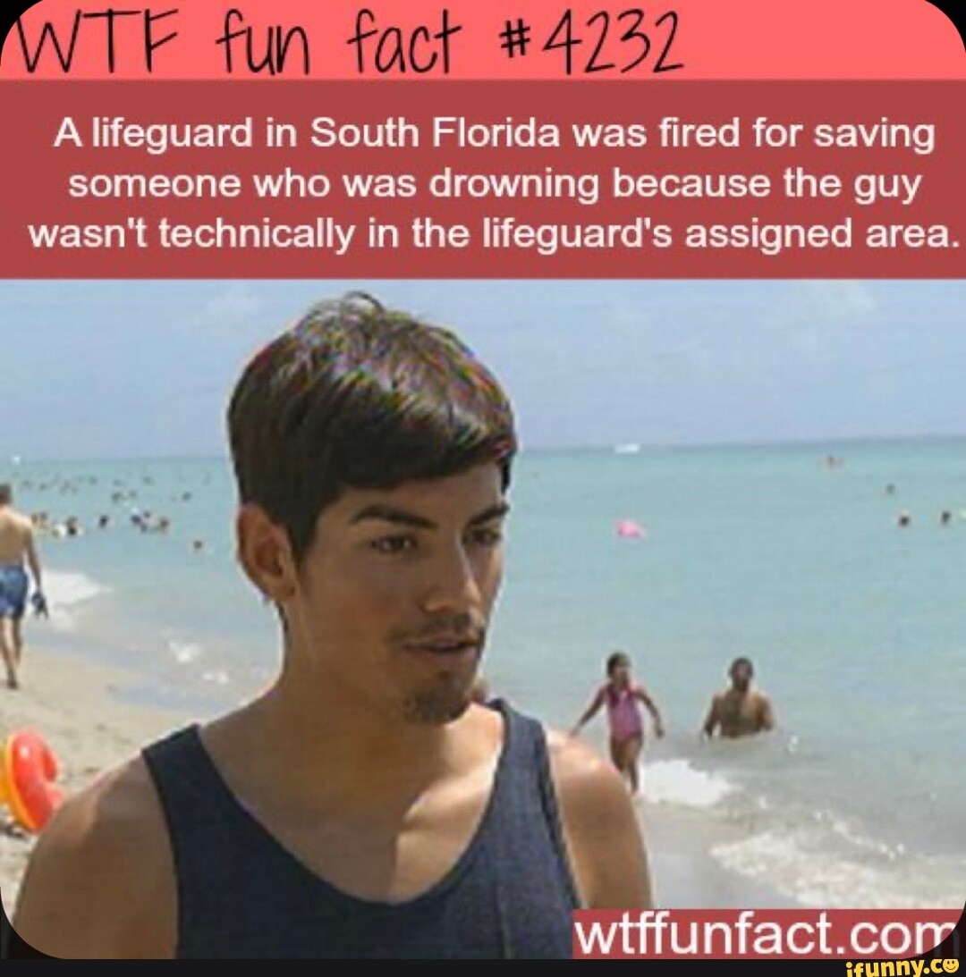 Lifeguards memes. Best Collection of funny Lifeguards pictures on iFunny