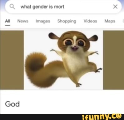 What gender is mort All News images Shopping Videos Maps Ga Video! Maps ...