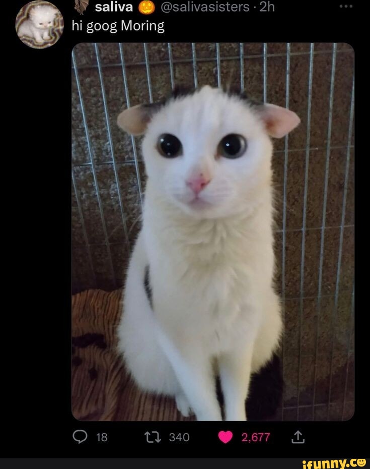 Saliva memes. Best Collection of funny Saliva pictures on iFunny