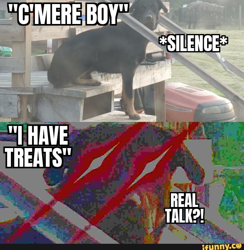 Gmere memes. Best Collection of funny Gmere pictures on iFunny