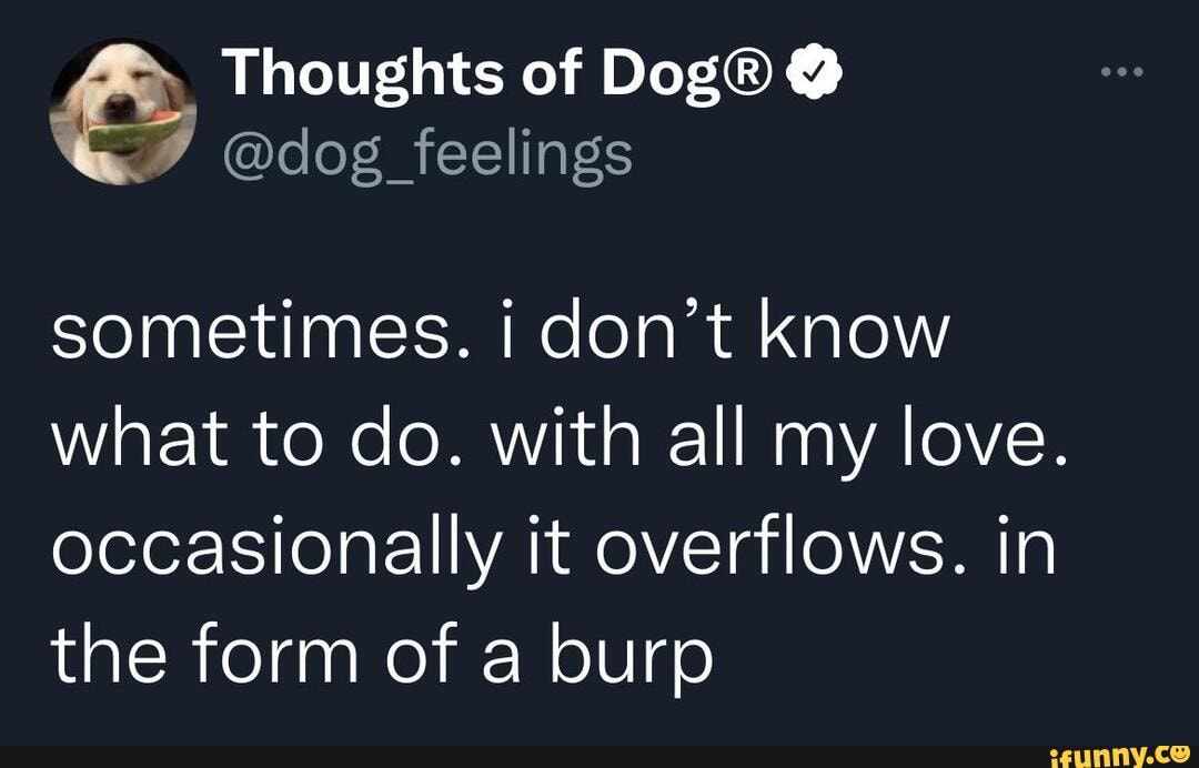 Overflows memes. Best Collection of funny Overflows pictures on iFunny