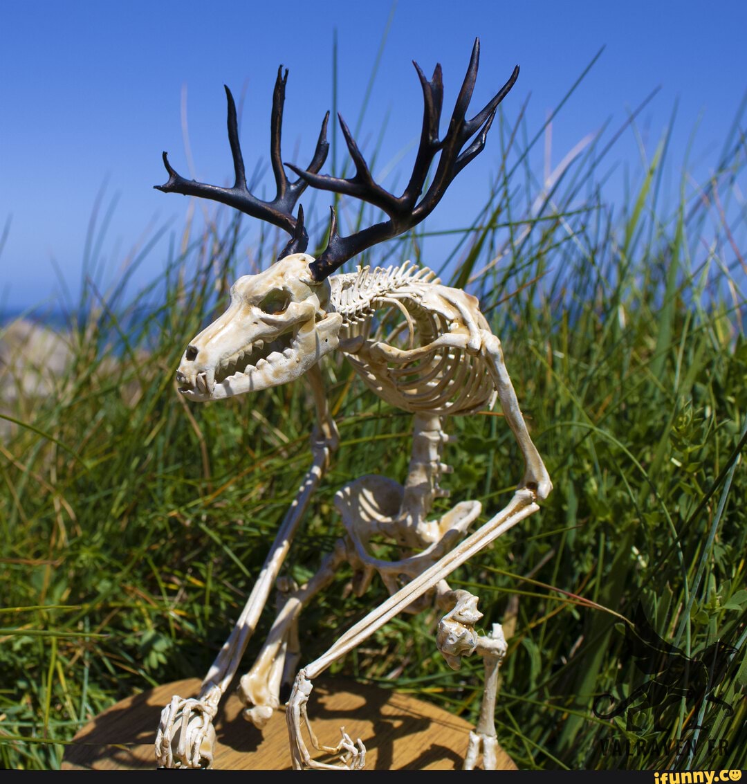 I made the wendigo skeleton with Blender, 3D printed it with an elegoo ...