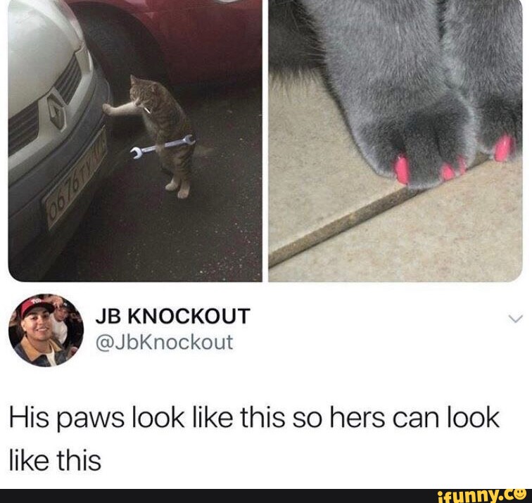 KNOCKOUT His paws look like this so hers can look like this - iFunny