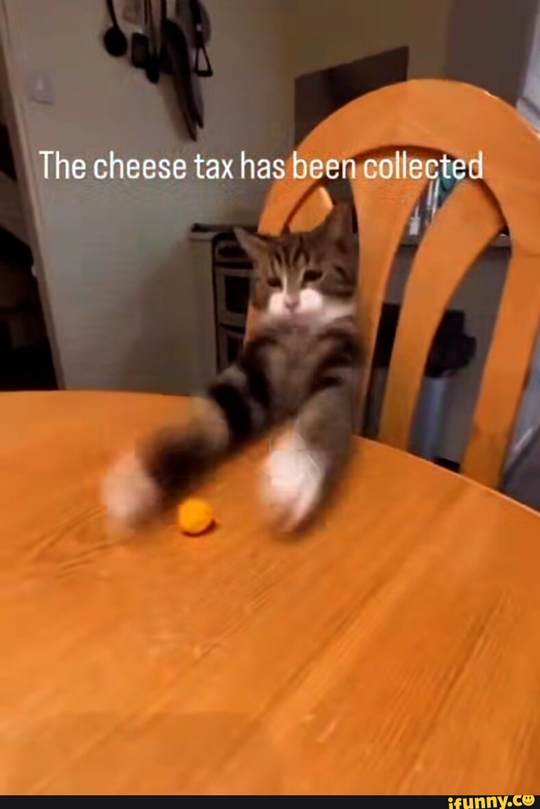 The cheese tax has been ce - iFunny