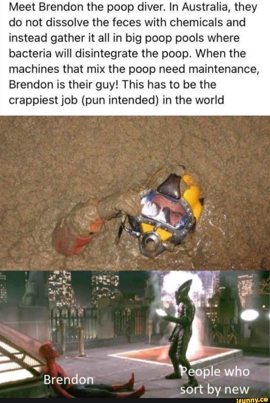 Meet Brendon the poop diver. In Australia, they do not dissolve the ...