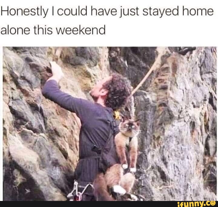 Video memes zczgOC9A8 by fatchicago_2019: 1.0K comments - iFunny