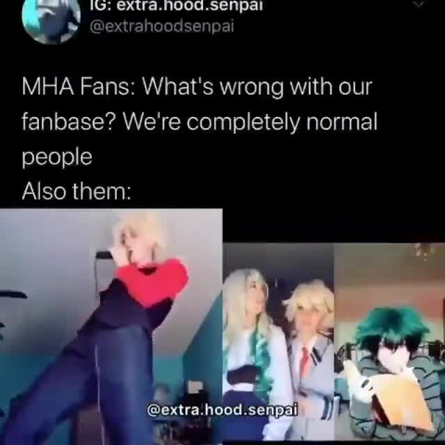MHA Fans: What's wrong with our fanbase? We're completely normal people ...