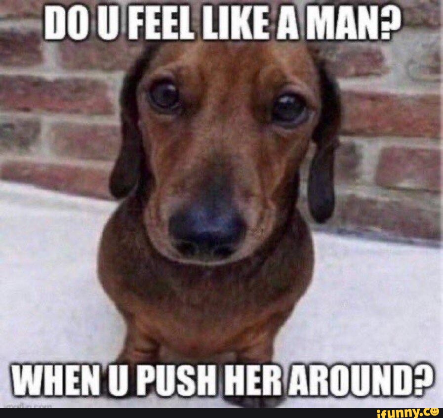 DOU FEEL LIKE A MAN? WHEN PUSH HER AROUND? - iFunny