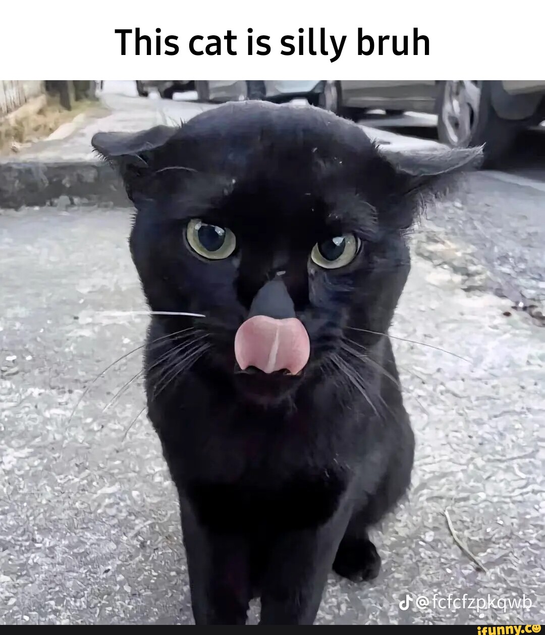 Utz memes. Best Collection of funny Utz pictures on iFunny