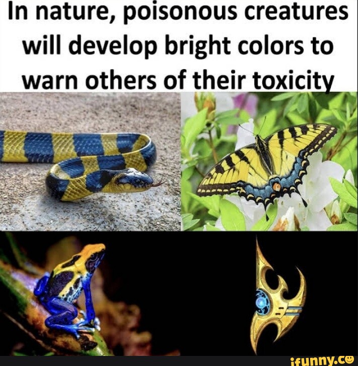 In nature, poisonous creatures will develop bright colors to warn ...