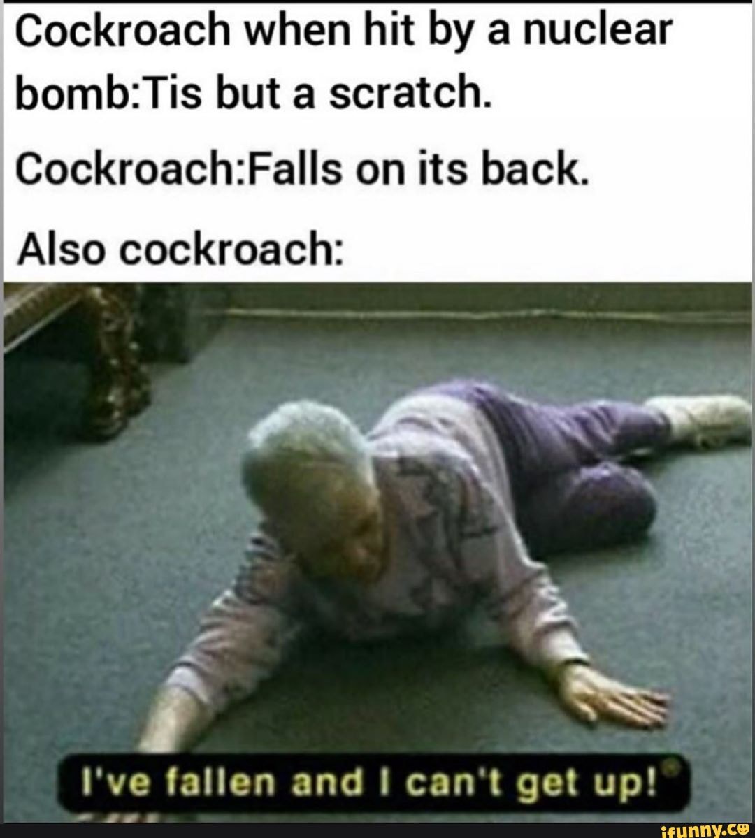 Cockroach when hit by a nuclear but a scratch. on its back. Also ...