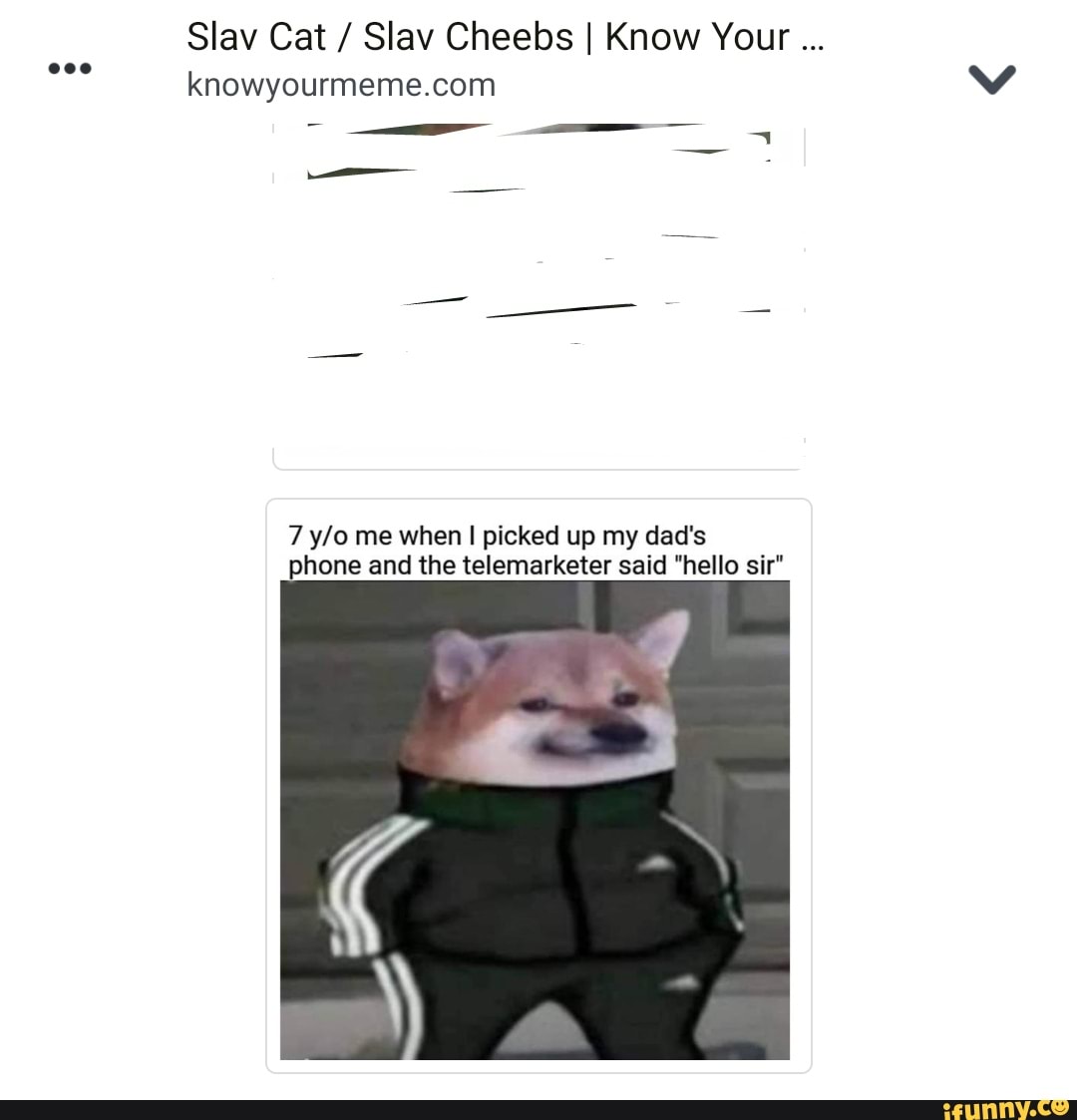 Slav Cat / Slav Cheebs I Know Your knowyourmenle.con 7 me when I picked ...