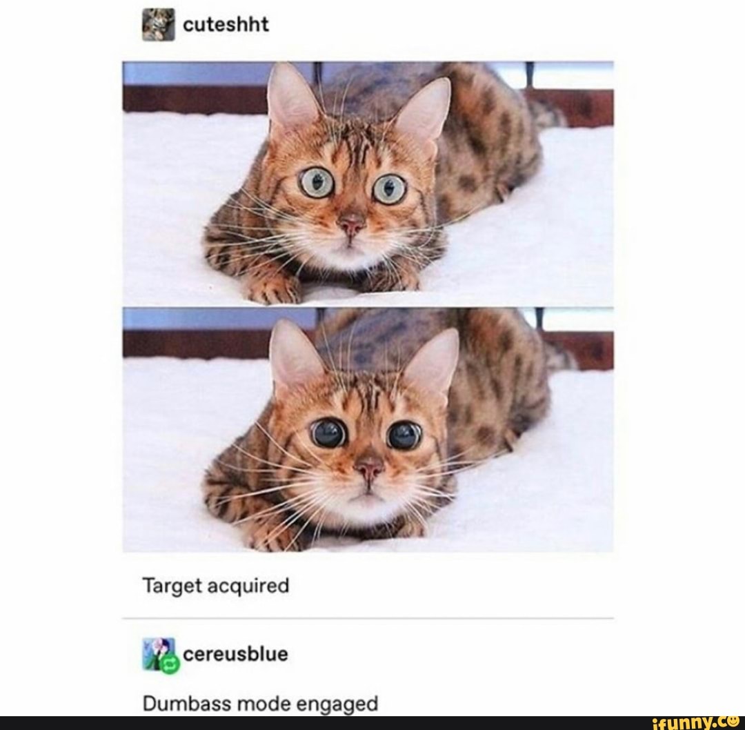 Dumbass mode engaged - iFunny