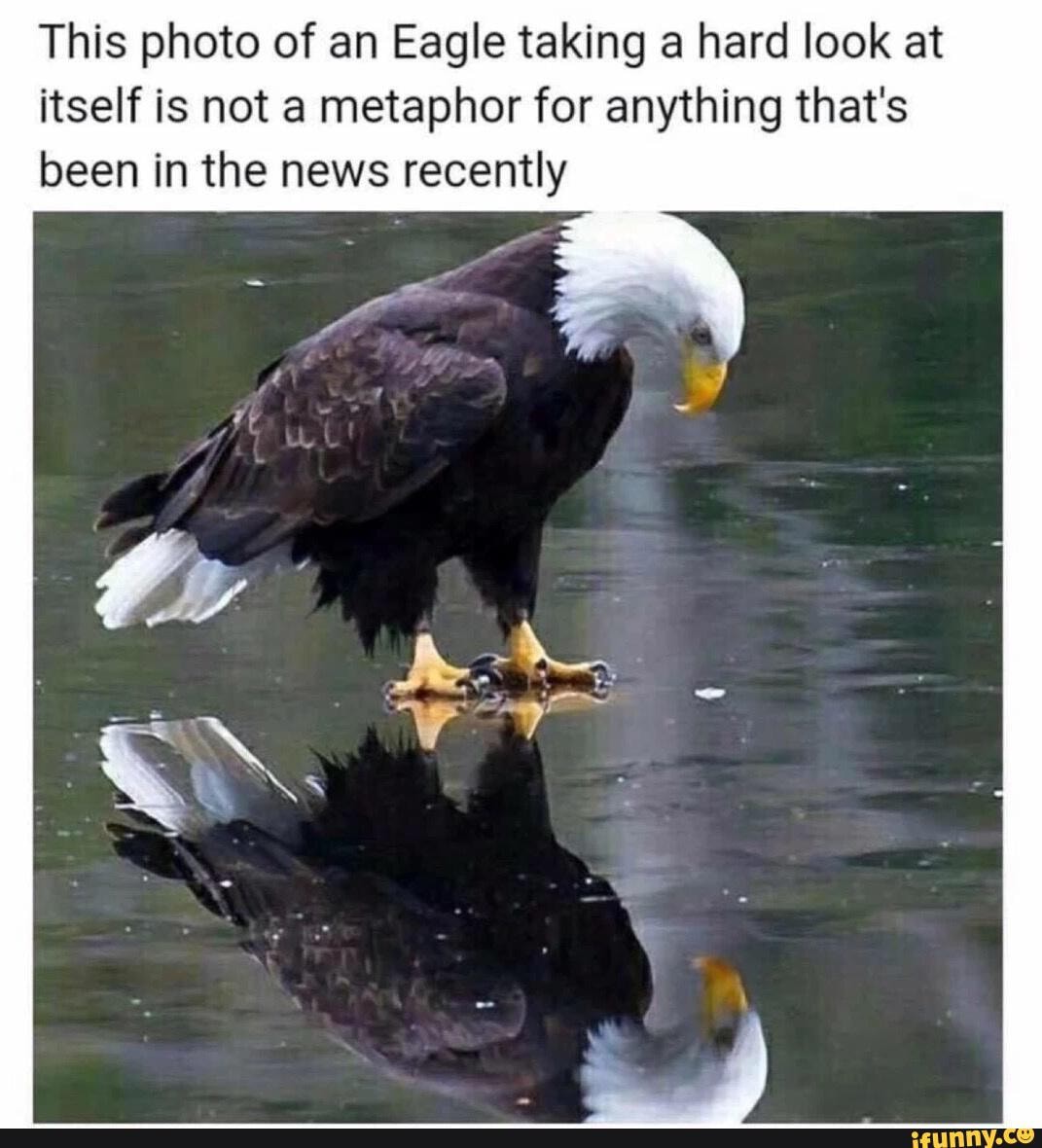 Self_reflection memes. Best Collection of funny Self_reflection ...