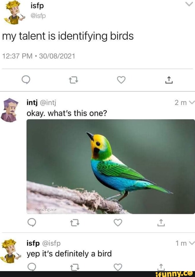 Isfp memes. Best Collection of funny Isfp pictures on iFunny