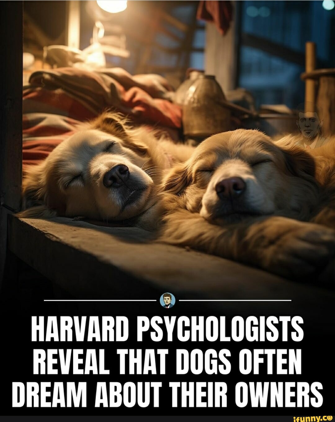 Harvard memes. Best Collection of funny Harvard pictures on iFunny
