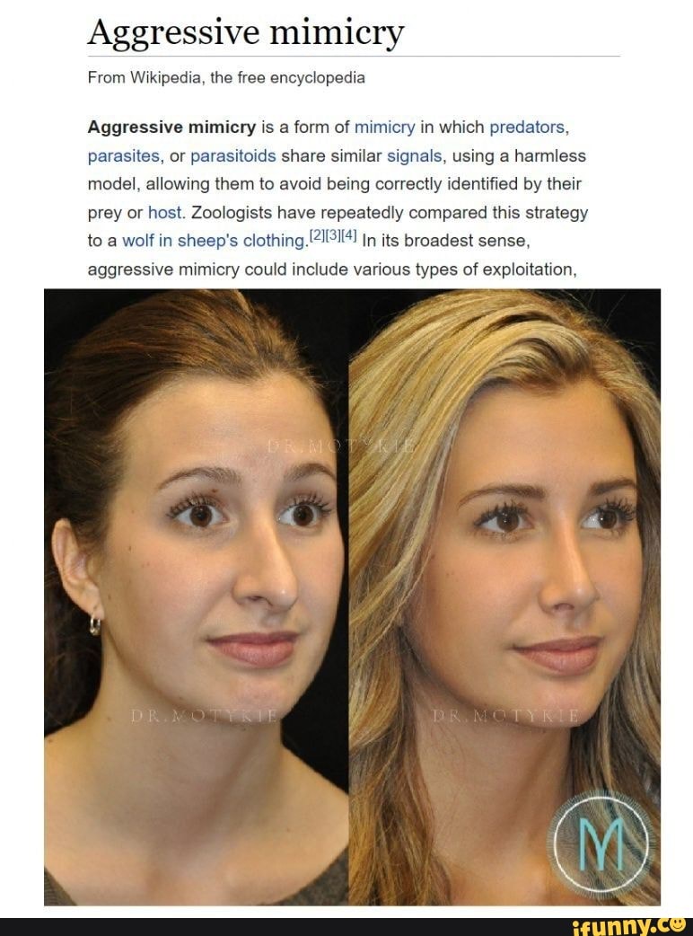 Identified memes. Best Collection of funny Identified pictures on iFunny