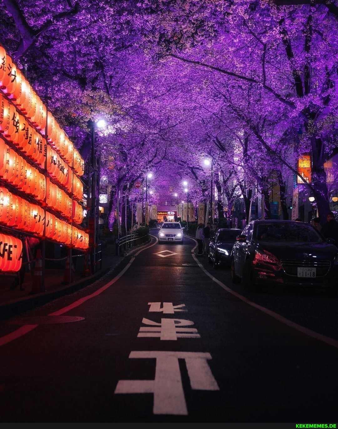 No, the purple trees aren’t photoshopped 💜 Follow @voyaged for more ...