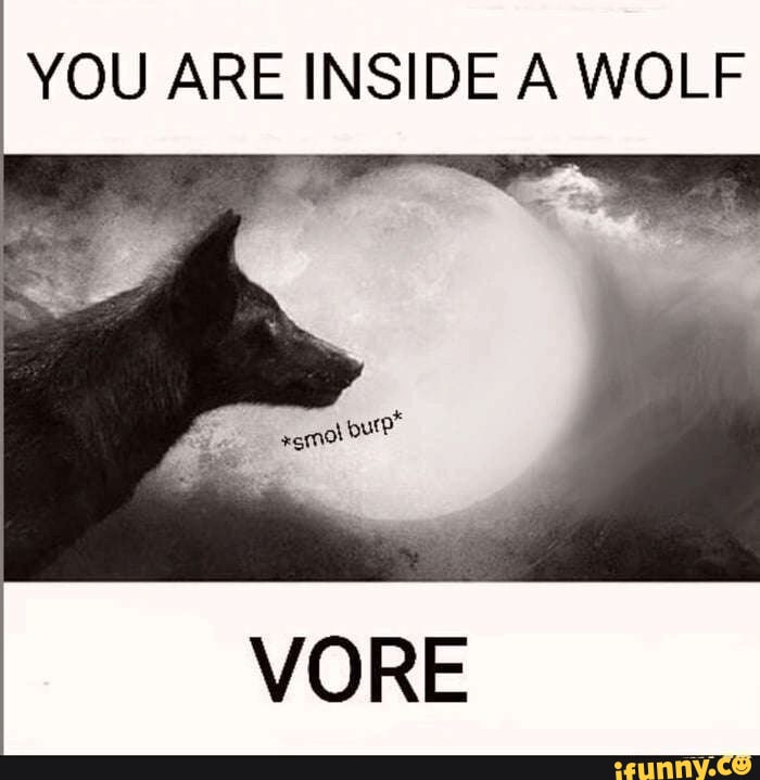 YOU ARE INSIDE A WOLF VORE - iFunny