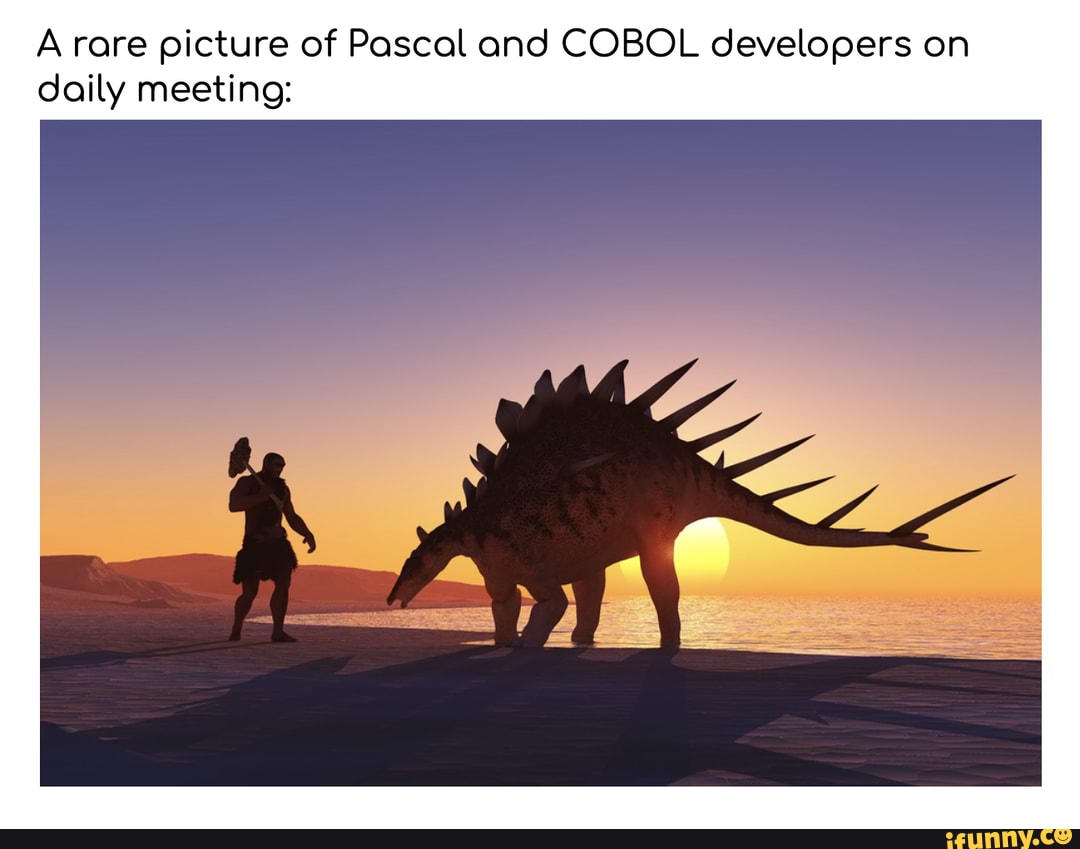 A rare picture of Pascal and COBOL developers on daily meeting: - iFunny