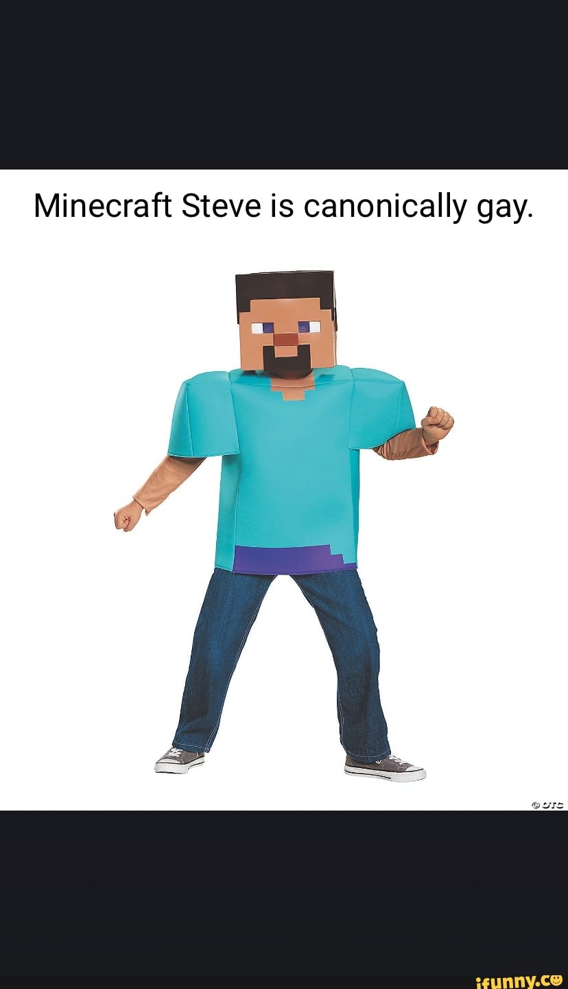 Minecraft Steve is canonically gay. - iFunny