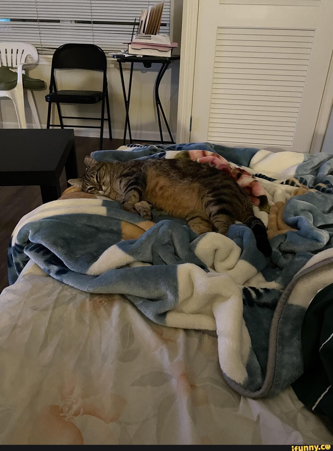 Tobacky memes. Best Collection of funny Tobacky pictures on iFunny