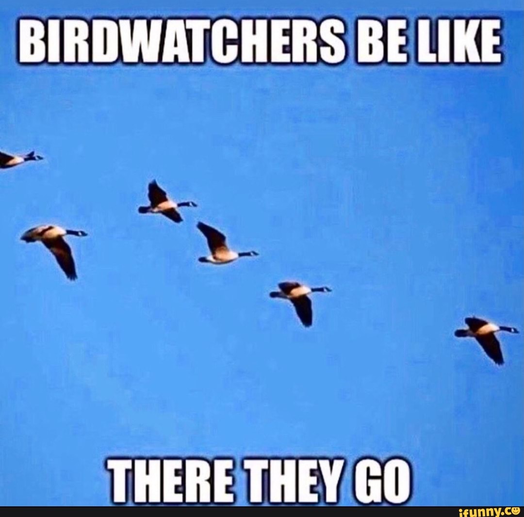 BIRDWATCHERS BE LIKE De THERE THEY GO - iFunny