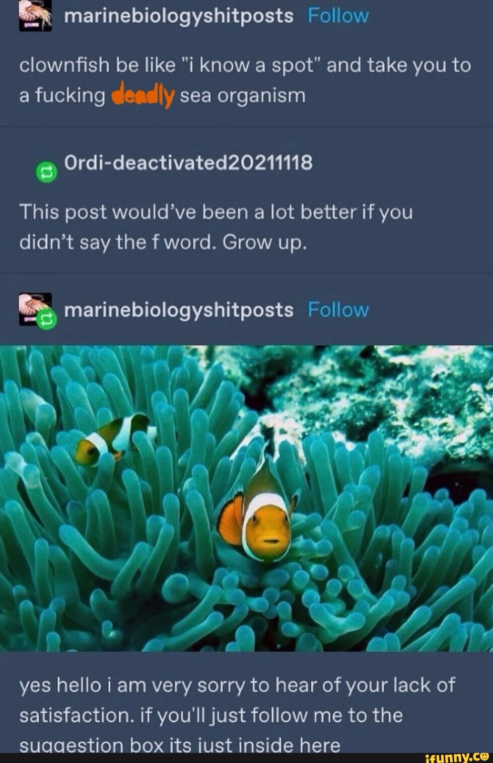 Clownfish memes. Best Collection of funny Clownfish pictures on iFunny