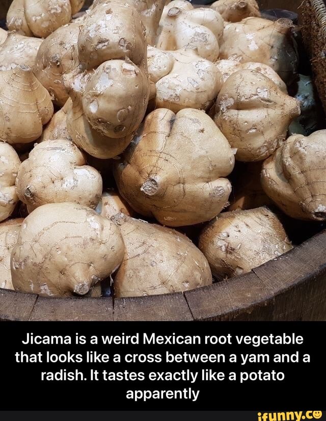 Jicama memes. Best Collection of funny Jicama pictures on iFunny