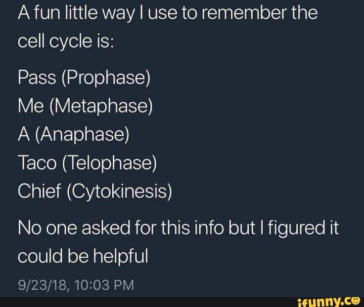 A fun little way I use to remember the cell cycle is: Pass (Prophase ...